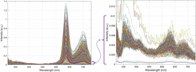 Towards machine learning-based quantitative hyperspectral image ...