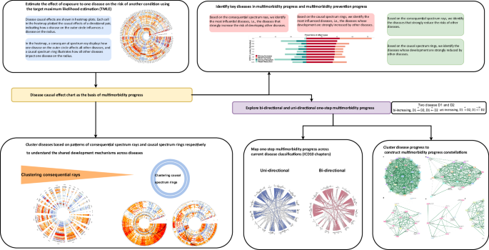Mapping multimorbidity progression among 190 diseases | Communications ...