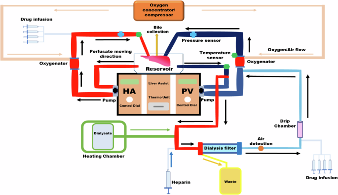 A reproducible extended ex-vivo normothermic machine liver perfusion ...
