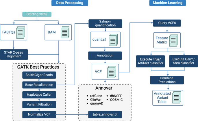 Variant calling from RNA-Seq data reveals allele-specific differential ...