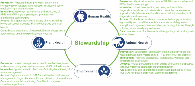 A One Health framework for global and local stewardship across the ...