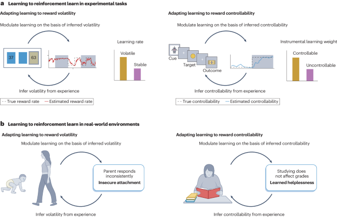 Understanding the development of reward learning through the lens of ...