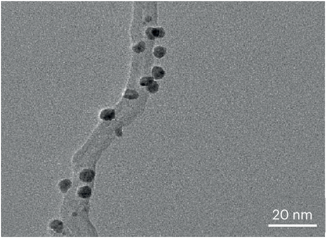 Synthesizing urea from nitrate contaminants | Nature Synthesis