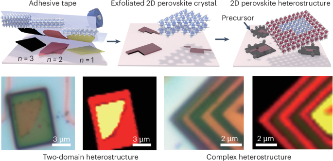 Kinetic Wulff-shaped heteroepitaxy of phase-pure 2D perovskite ...