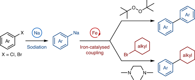 Iron-catalysed direct coupling of organosodium compounds | Nature Synthesis