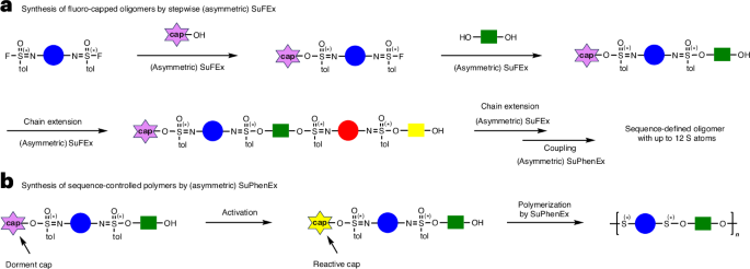 Synthesis of oligomers with control of the monomer sequence and ...