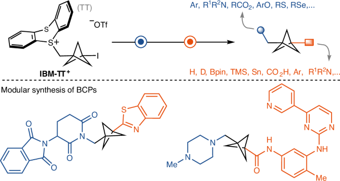 Thianthrenium-enabled modular synthesis of bicyclo[1.1.1]pentanes ...