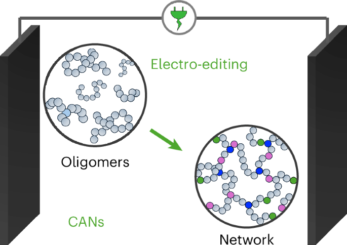 Dual C–H functionalization of polyolefins for covalent adaptable ...