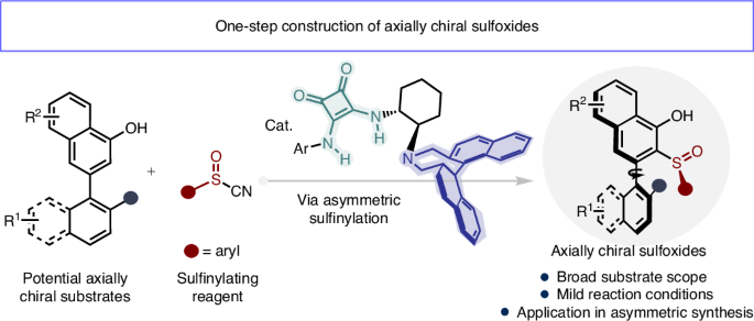 Enantioselective organocatalytic construction of axially chiral sulfoxides | Nature Synthesis