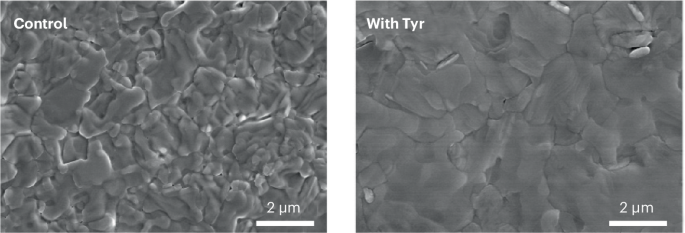 Efficient quasi-two-dimensional perovskite solar cells | Nature Synthesis