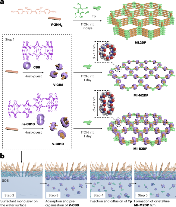 Controlled synthesis of monolayer and bilayer two-dimensional polymers ...