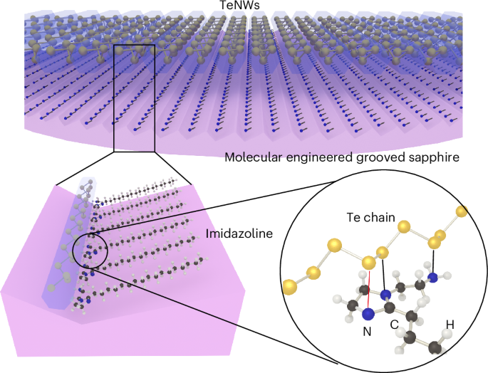 Synthesis of wafer-scale uniaxially oriented tellurium films via ...