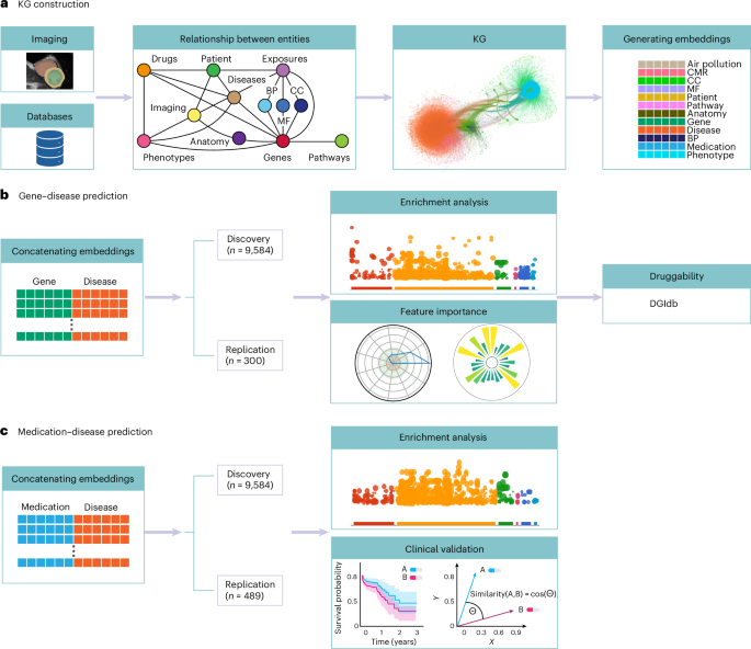 A multimodal vision knowledge graph of cardiovascular disease | Nature ...