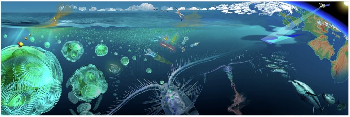 Bringing marine microbiome research into the classroom is an essential ...