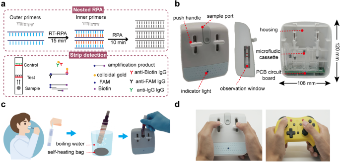 A gamepad-like nucleic acid testing device for rapid detection of SARS ...