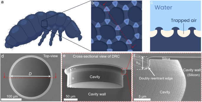 Insect-inspired breathing interfaces: investigating robustness of ...