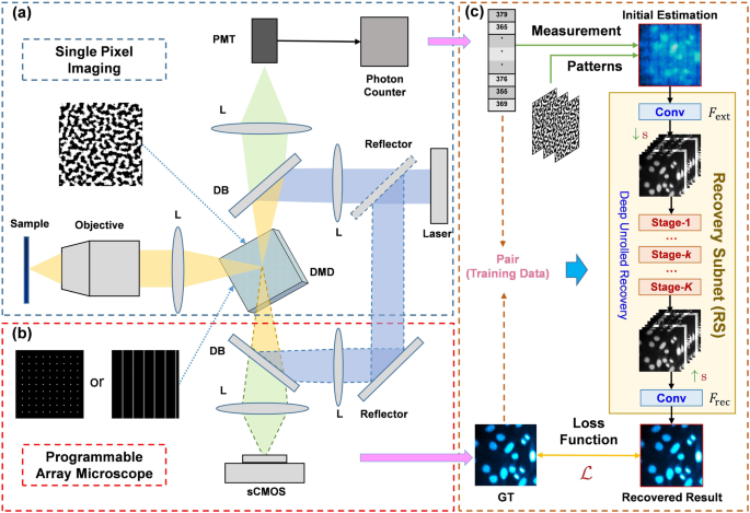 Compressive confocal microscopy imaging at the single-photon level with ...