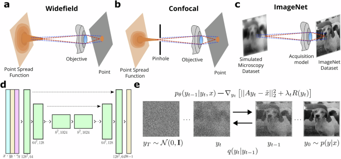 Microscopy image reconstruction with physics-informed denoising ...