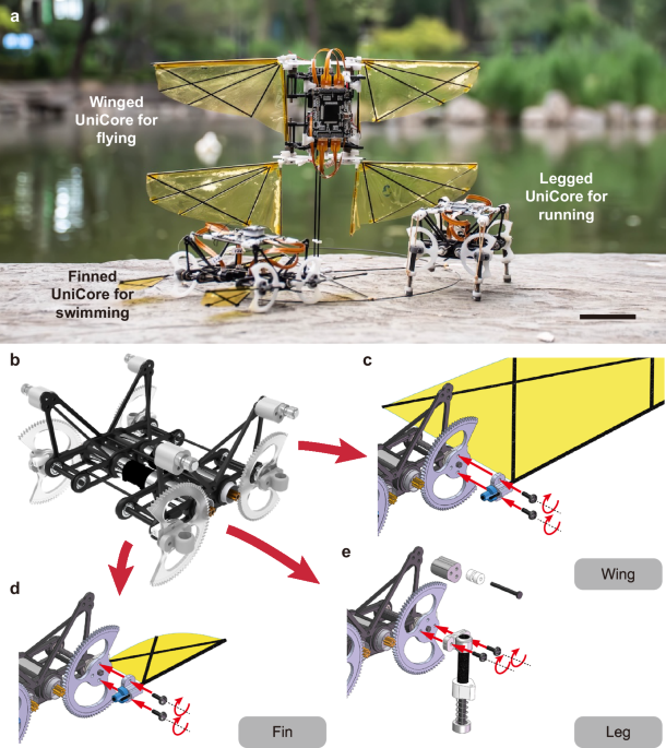Reciprocal actuation core and modular robotic limbs for flying ...