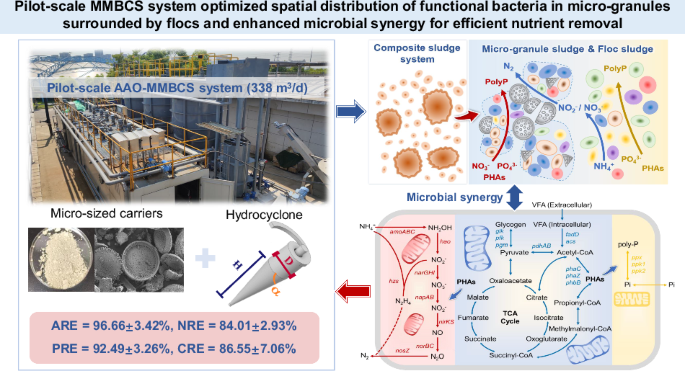 Pilot-scale integration of micron-sized powder carriers and a ...