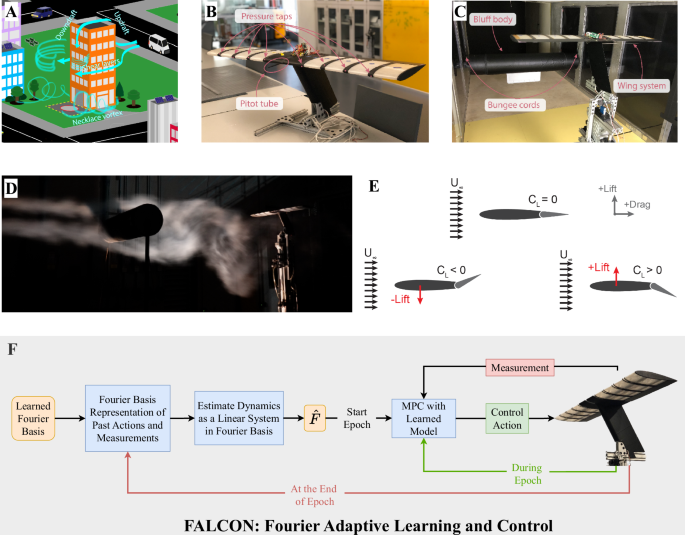 FALCON: Fourier Adaptive Learning and Control for Disturbance Rejection ...