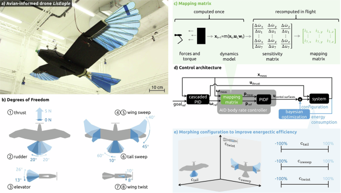Adaptive morphing of wing and tail for stable, resilient, and energy ...