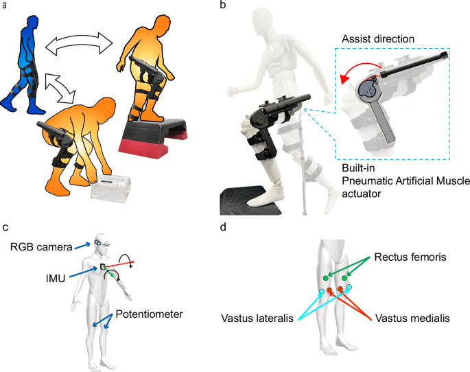 Transformer-based multitask assist control from first-person view image and user’s kinematic ...
