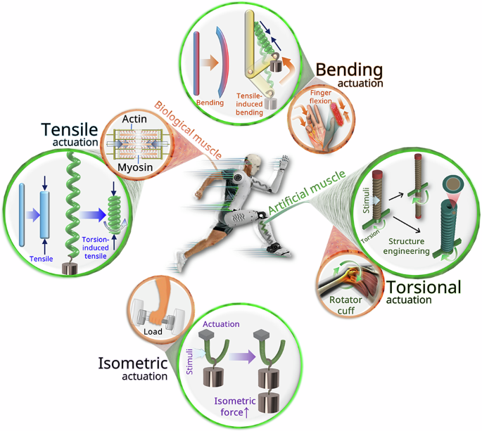 Fiber-type artificial muscles for robotic actuation | npj Robotics