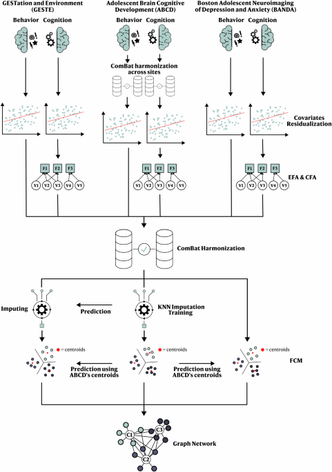 Beyond discrete classifications: a computational approach to the continuum of cognition and ...