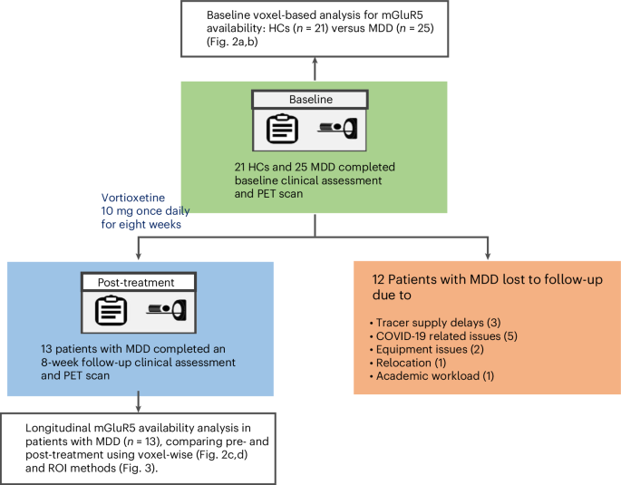 Enhanced mGluR5 availability marks the antidepressant efficacy in major ...