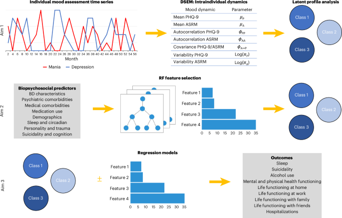 Modeling and predicting mood instability in a longitudinal cohort of ...