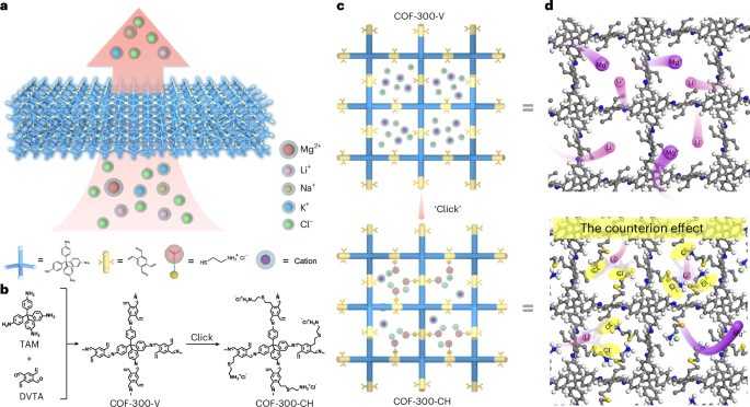 Three-dimensional cationic covalent organic framework membranes for ...