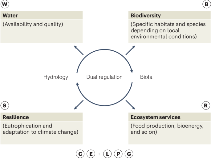 Transdisciplinary ecohydrology for water management solutions and ...