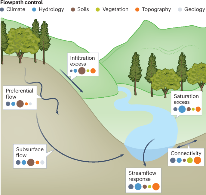 Forest streamflow driven by soils, topography and previous rains ...