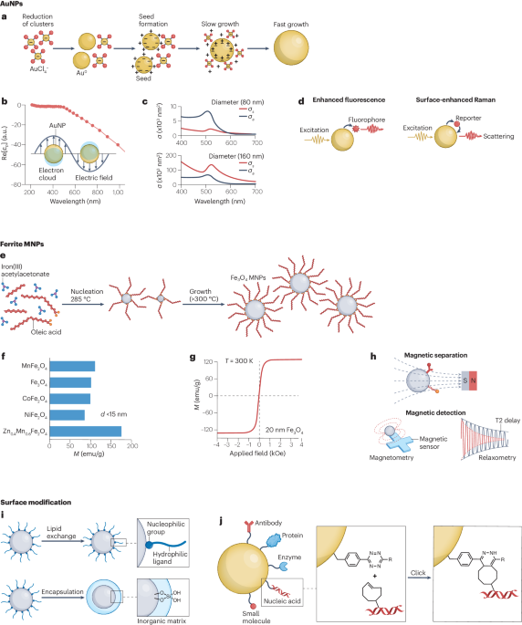 Engineered nanoparticles for clinical assays | Nature Reviews ...