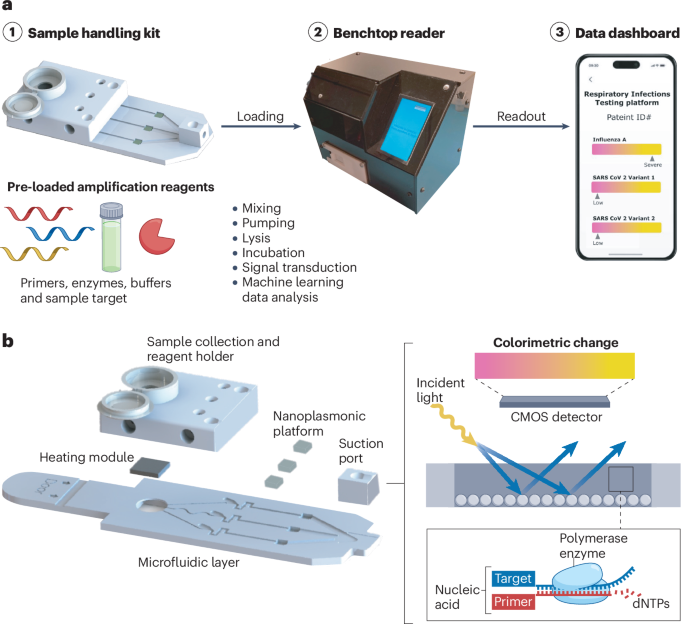 A nucleic acid detection device for rapid multiplexed molecular disease ...
