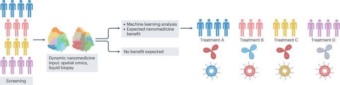 Dynamic precision cancer nanomedicine | Nature Reviews Bioengineering
