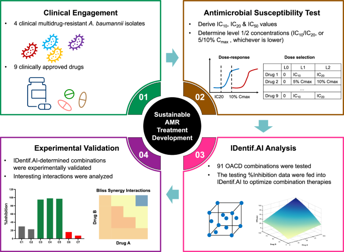 Flash optimization of drug combinations for Acinetobacter baumannii with IDentif.AI-AMR | npj ...