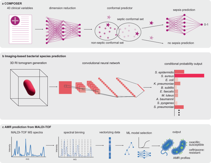 How AI can help us beat AMR | npj Antimicrobials and Resistance