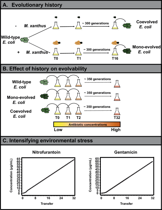 Coevolutionary history of predation constrains the evolvability of ...
