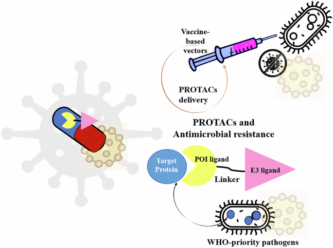 Evolution of proteolysis-targeting chimeras (PROTAC) technology to ...