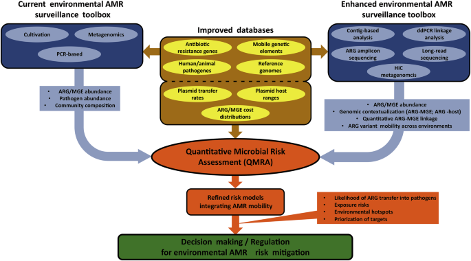 Towards the integration of antibiotic resistance gene mobility into ...