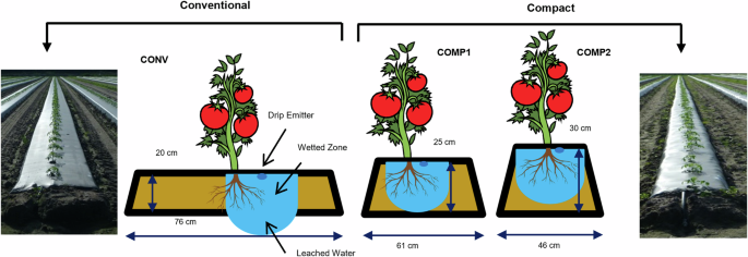 Resource-efficient compact bed plasticulture reduces production risks ...