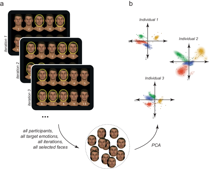Expression perceptive fields explain individual differences in the recognition of facial ...