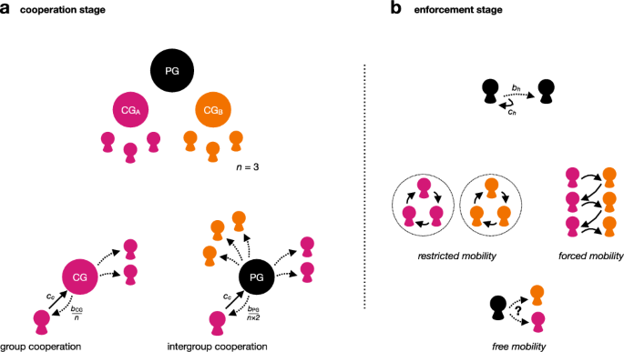 Free mobility across group boundaries promotes intergroup cooperation ...