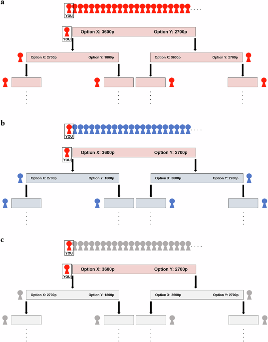 Ingroup favoritism and outgroup derogation in intergenerational ...