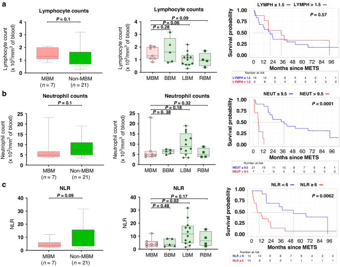 Immunogenomics and spatial proteomic mapping highlight distinct neuro ...