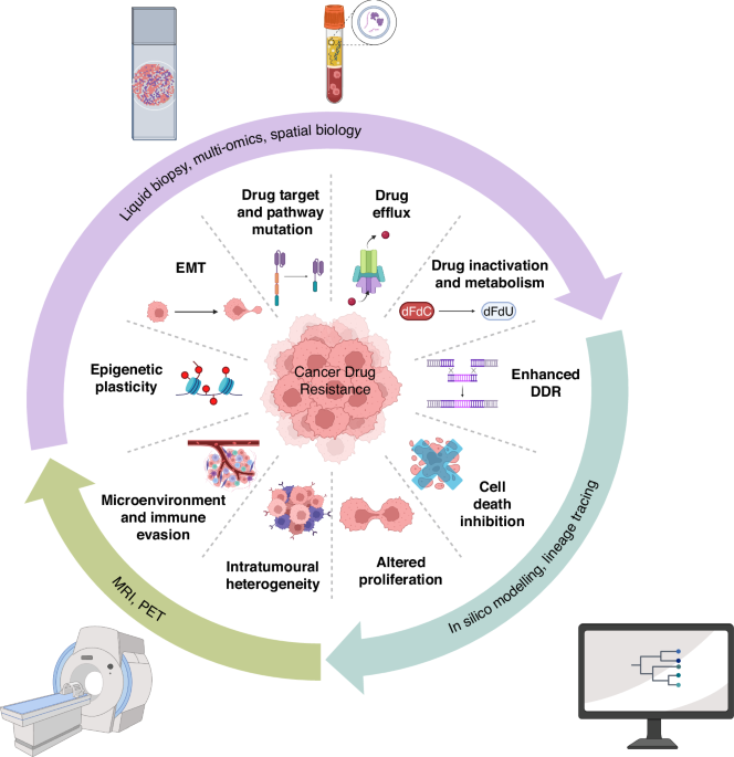 Breaking barriers: we need a multidisciplinary approach to tackle ...