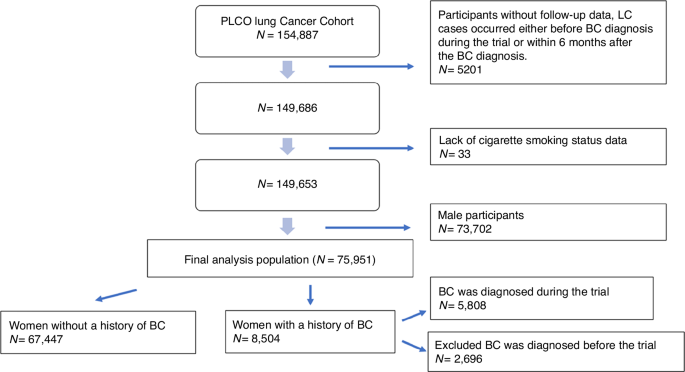 Assessing the risk of second primary lung cancer in women after previous breast cancer | BJC Reports
