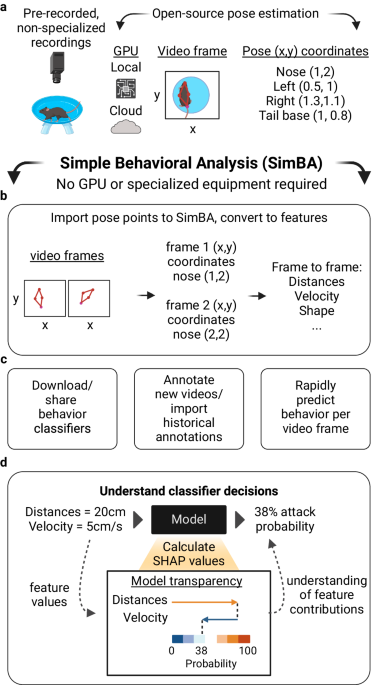 Keeping it simple – a Simple Behavioral Analysis (SimBA) primer | NPP—Digital Psychiatry and ...